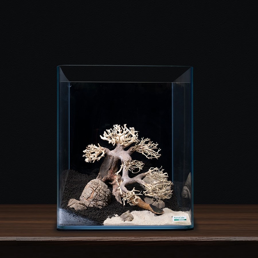 Deco Box Bonsai Dennerle - Décorations - roches vivantes | Histoires d'Eaux