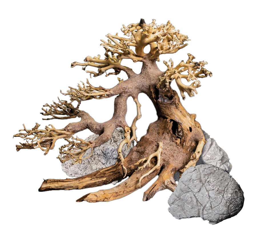 Deco Box Bonsai Dennerle - Décorations - roches vivantes | Histoires d'Eaux