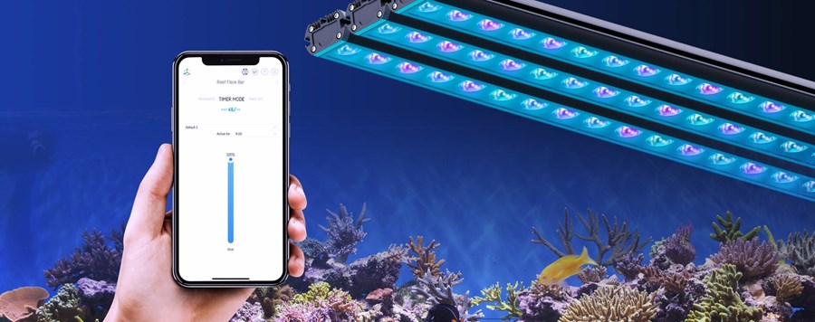 Reef Flare Bar L - 120cm - Technique | Histoires d'Eaux